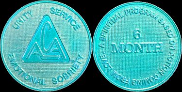 ACA Recovery Chips – ACA WSO Canada